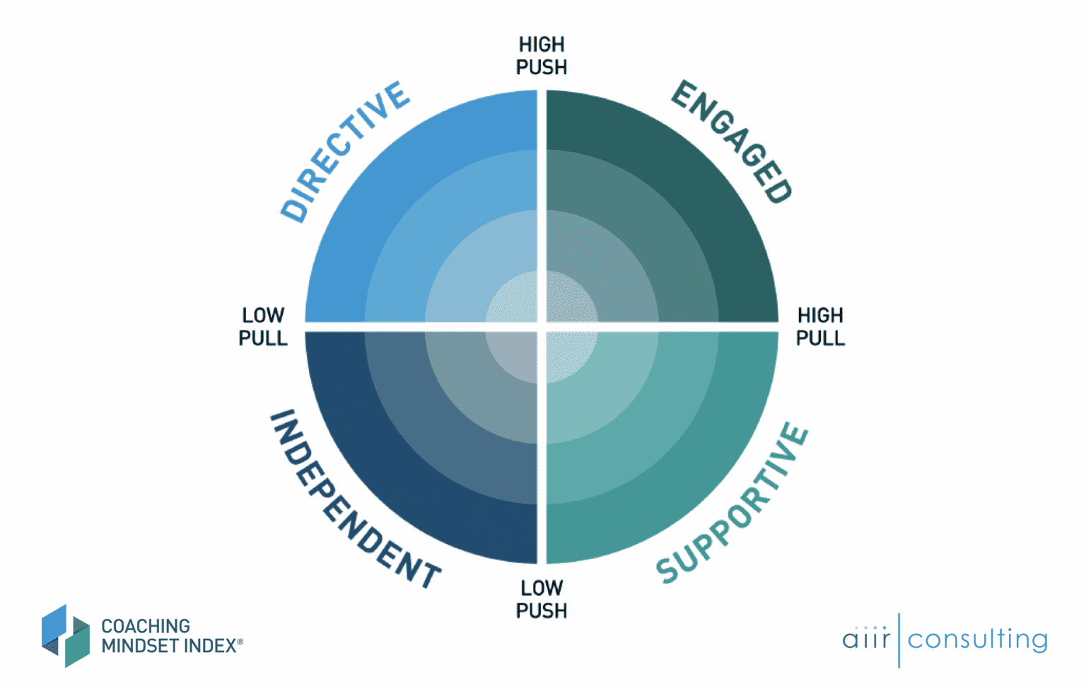 The CMI Model - AIIR Consulting