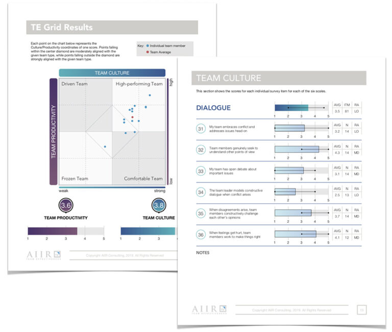 Team Effectiveness - AIIR Consulting