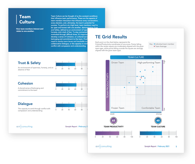Team Effectiveness Survey - AIIR Consulting