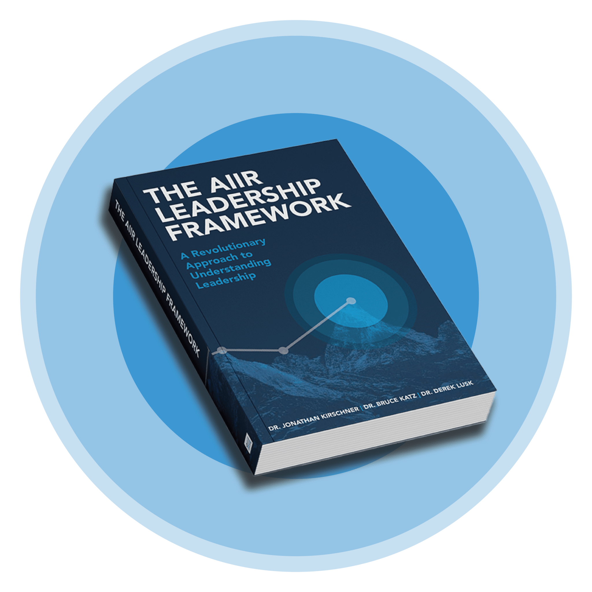 The AIIR Leadership Framework - AIIR Consulting